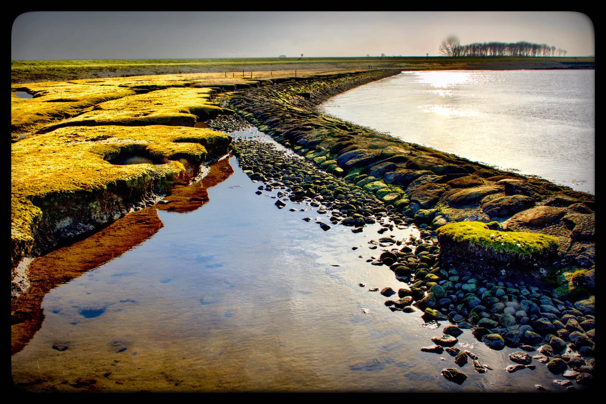 PUNT VAN REIDE - Brekt