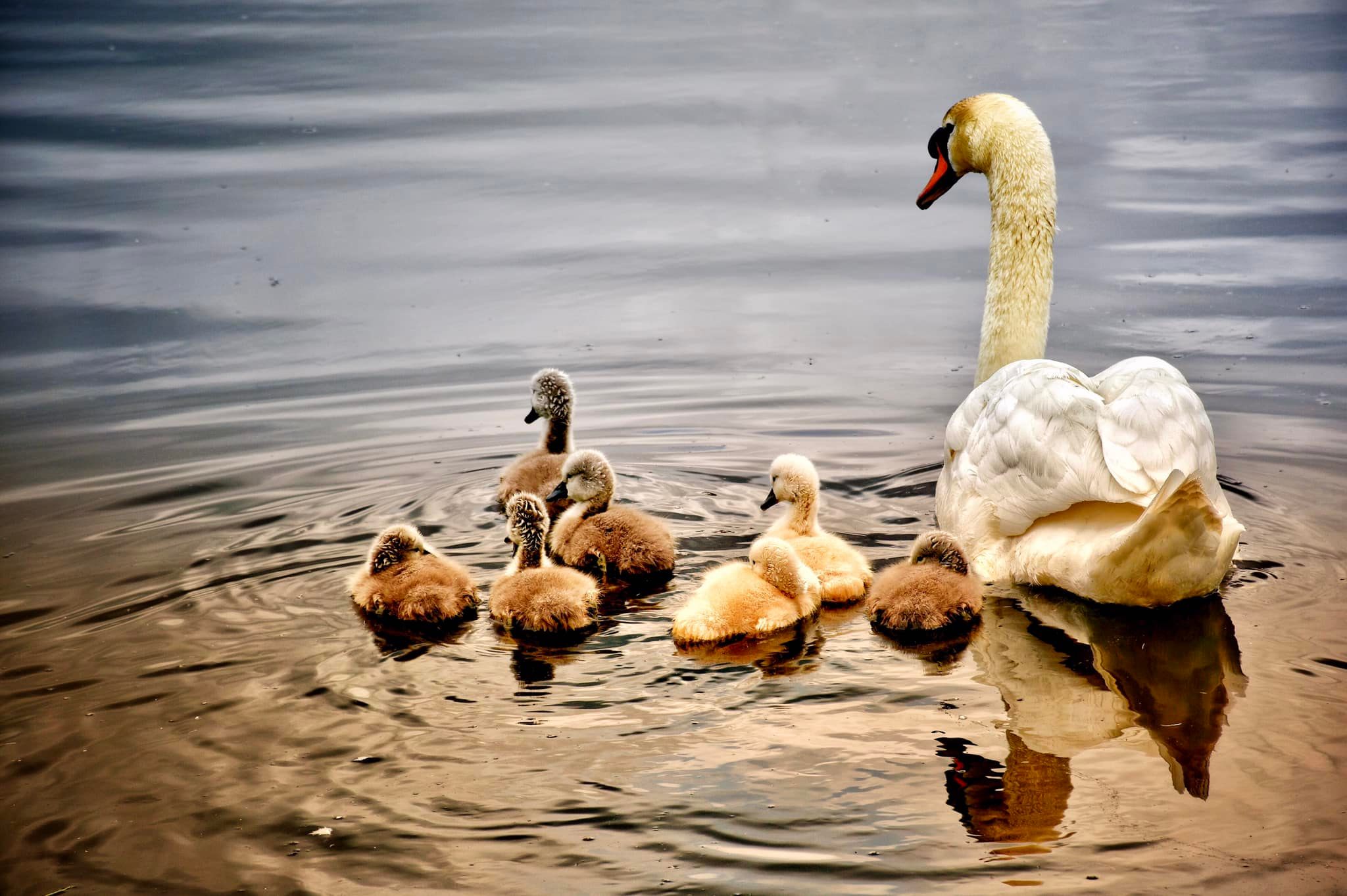 SPRING IS IN THE AIR - Brekt