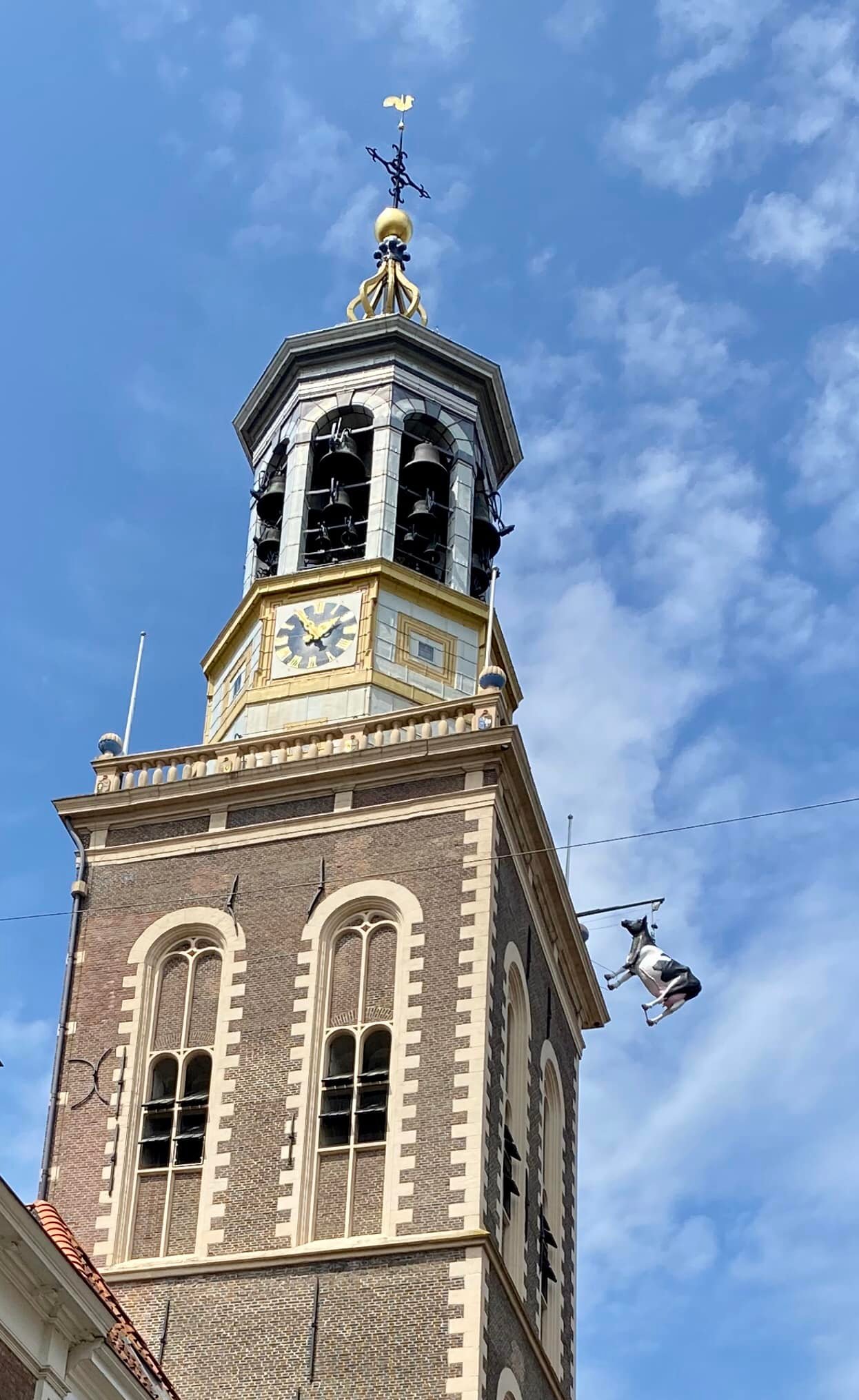 DE KOE VAN KAMPEN - Brekt
