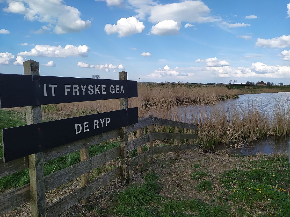 BOEKPRESENTATIE IN BLAUWHUIS - Brekt