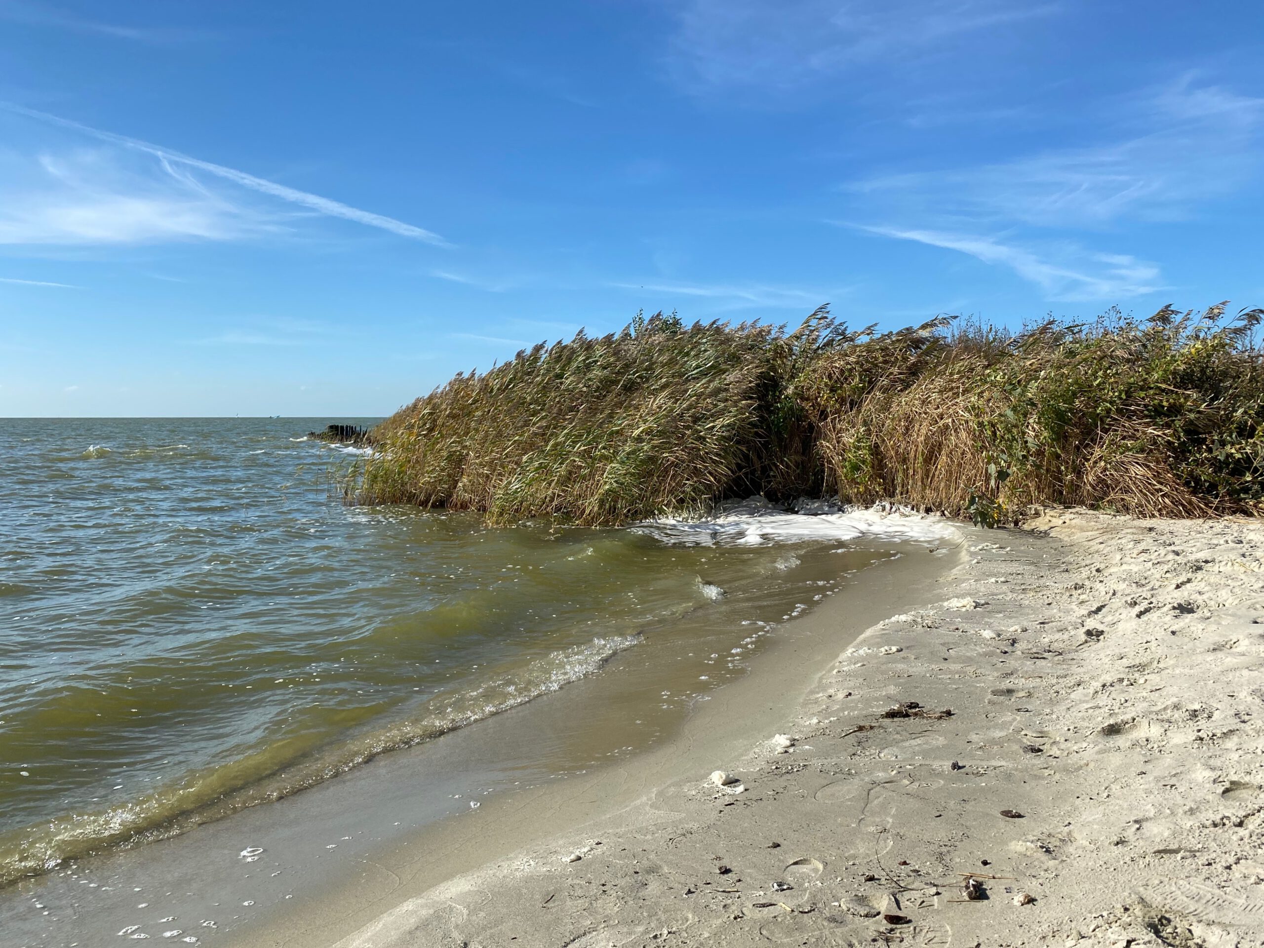Rijk draagt bij aan versterken Friese IJsselmeerkust - Brekt