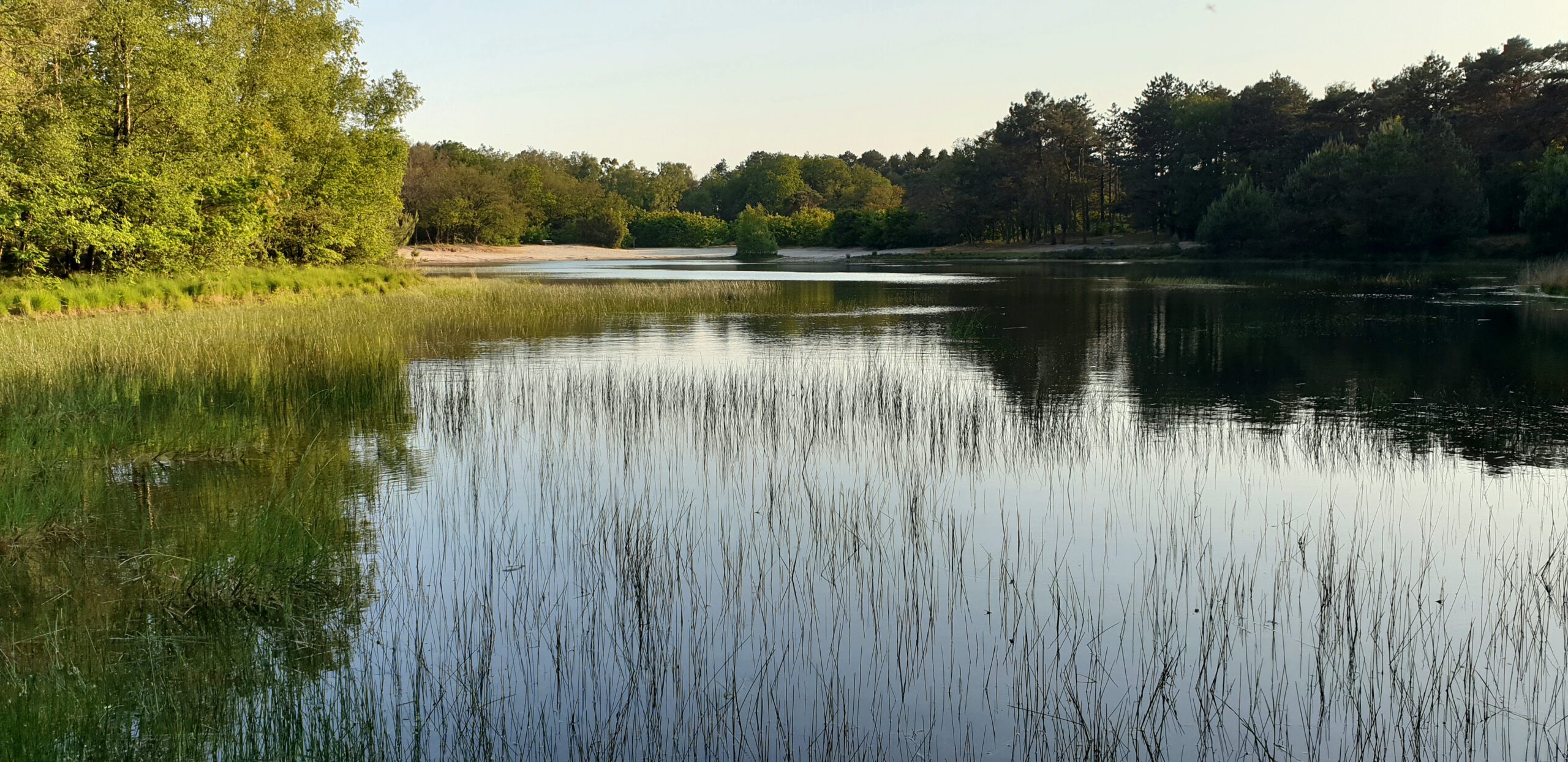 KIKKERS DIE HUPPEN - Brekt