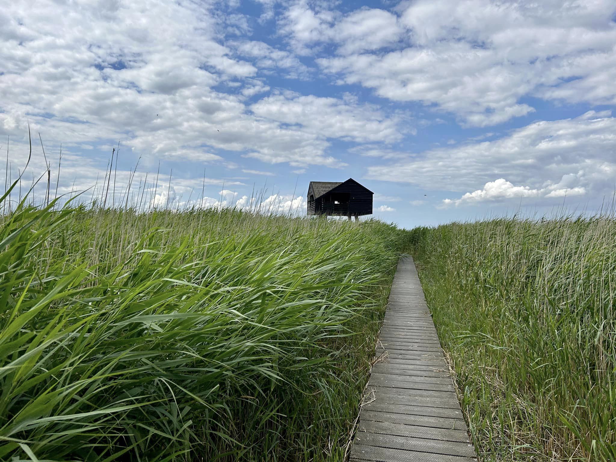 FOTOTOER GRONINGEN - Brekt