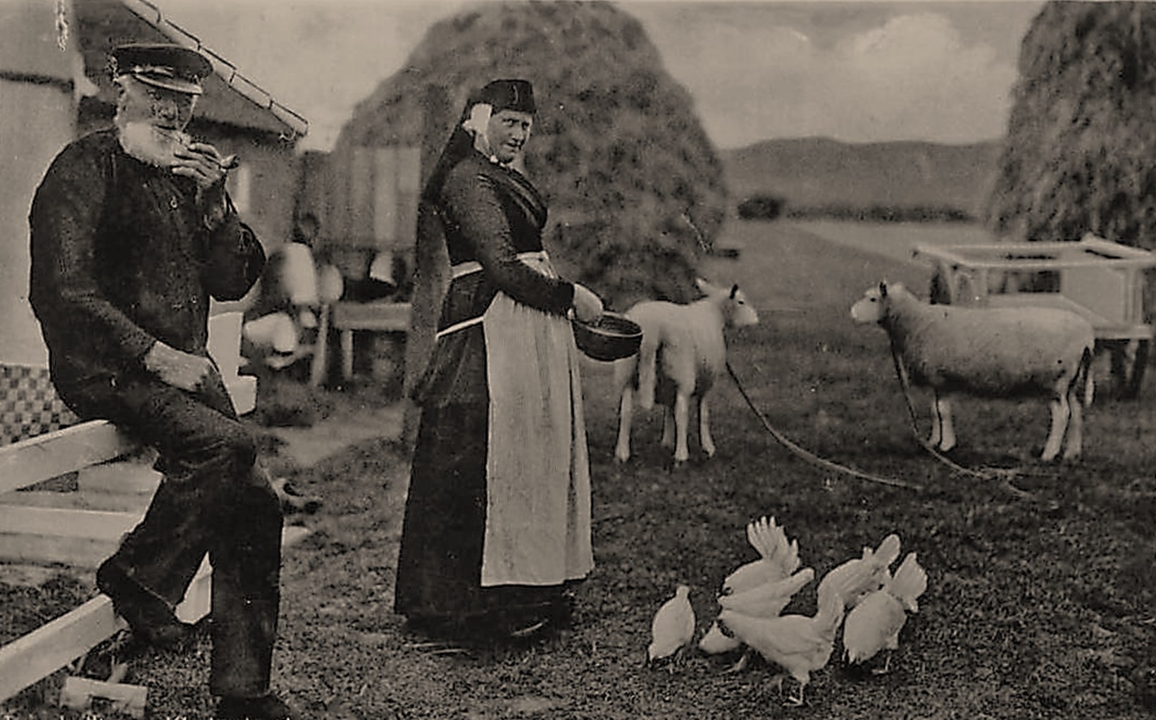 VIJF KEER DE KIP - Brekt