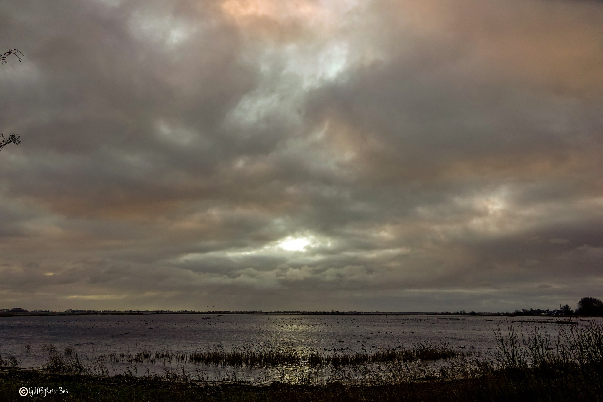 VERVREEMDING - Brekt