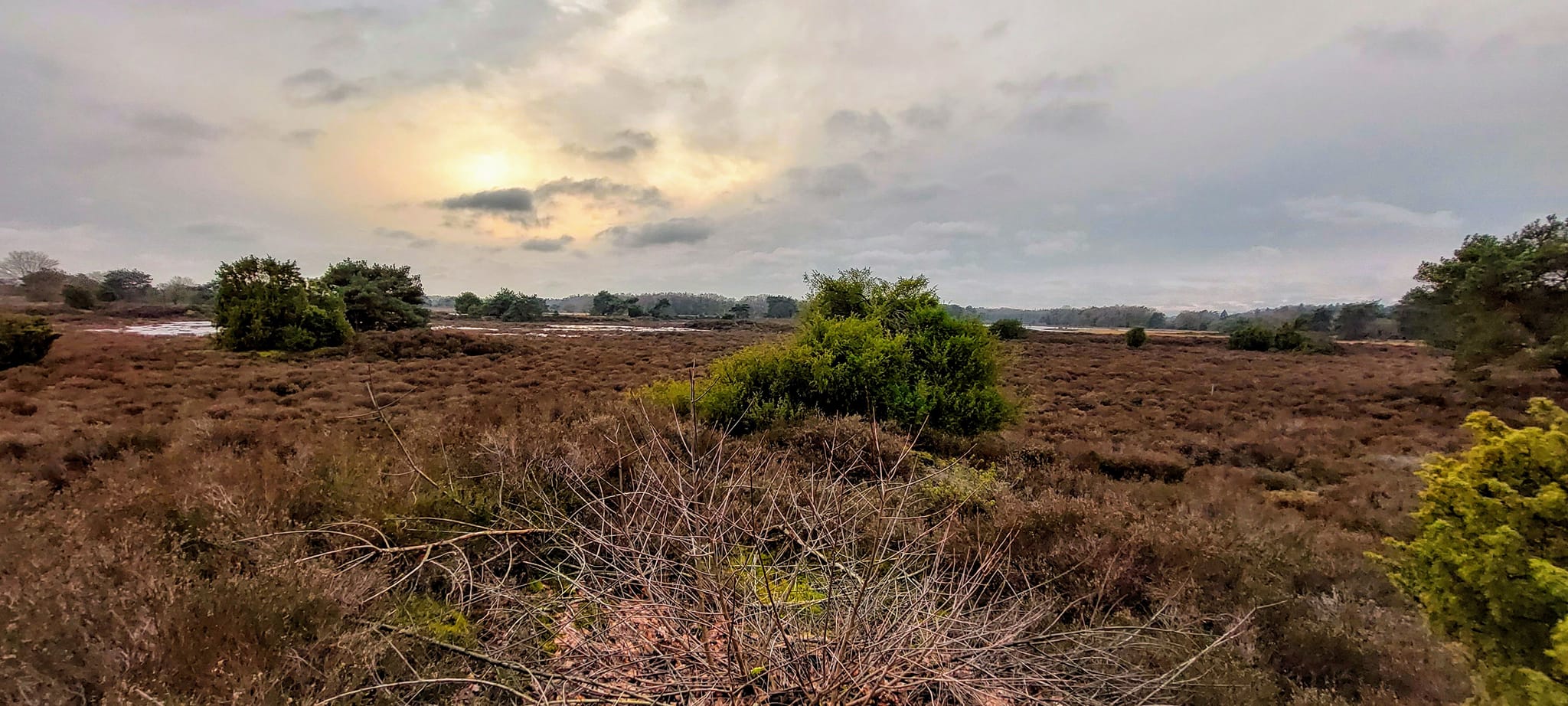 DE DRENTSE HEI - Brekt