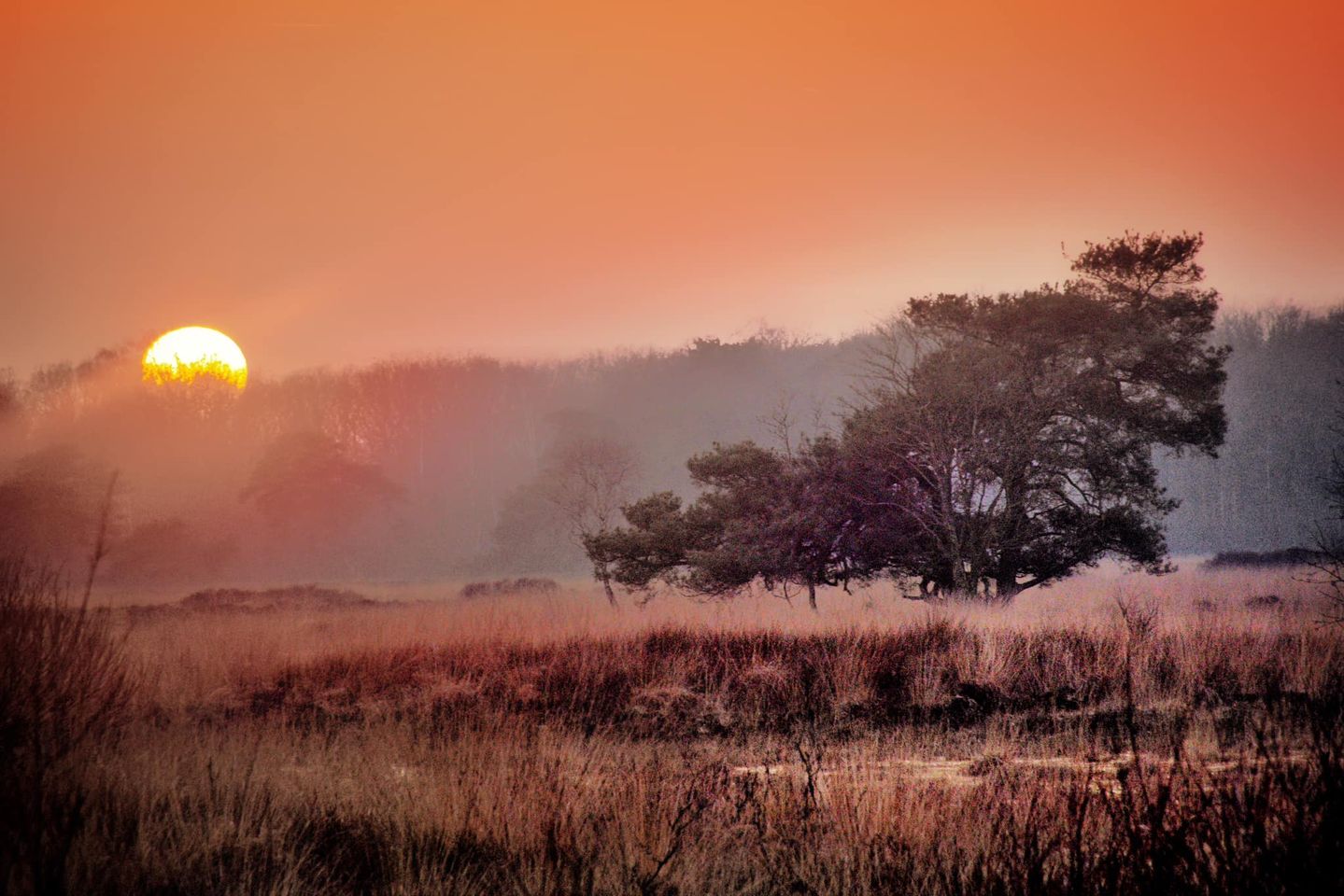 DE ZON BIJNA ONDER - Brekt