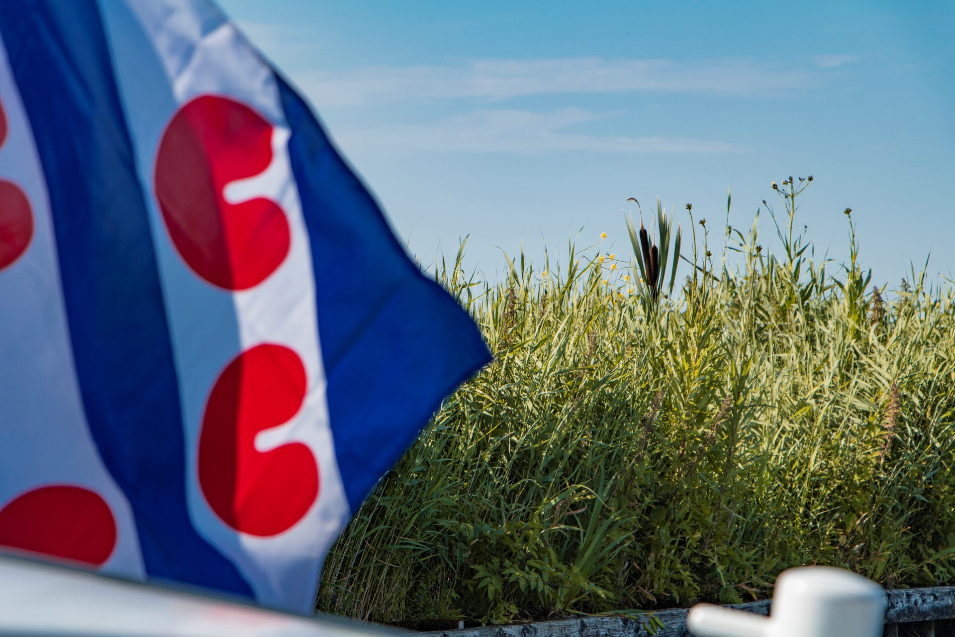 Fryske ImagoMonitor 2024: ‘Friezen binne it meast grutsk op harren ...