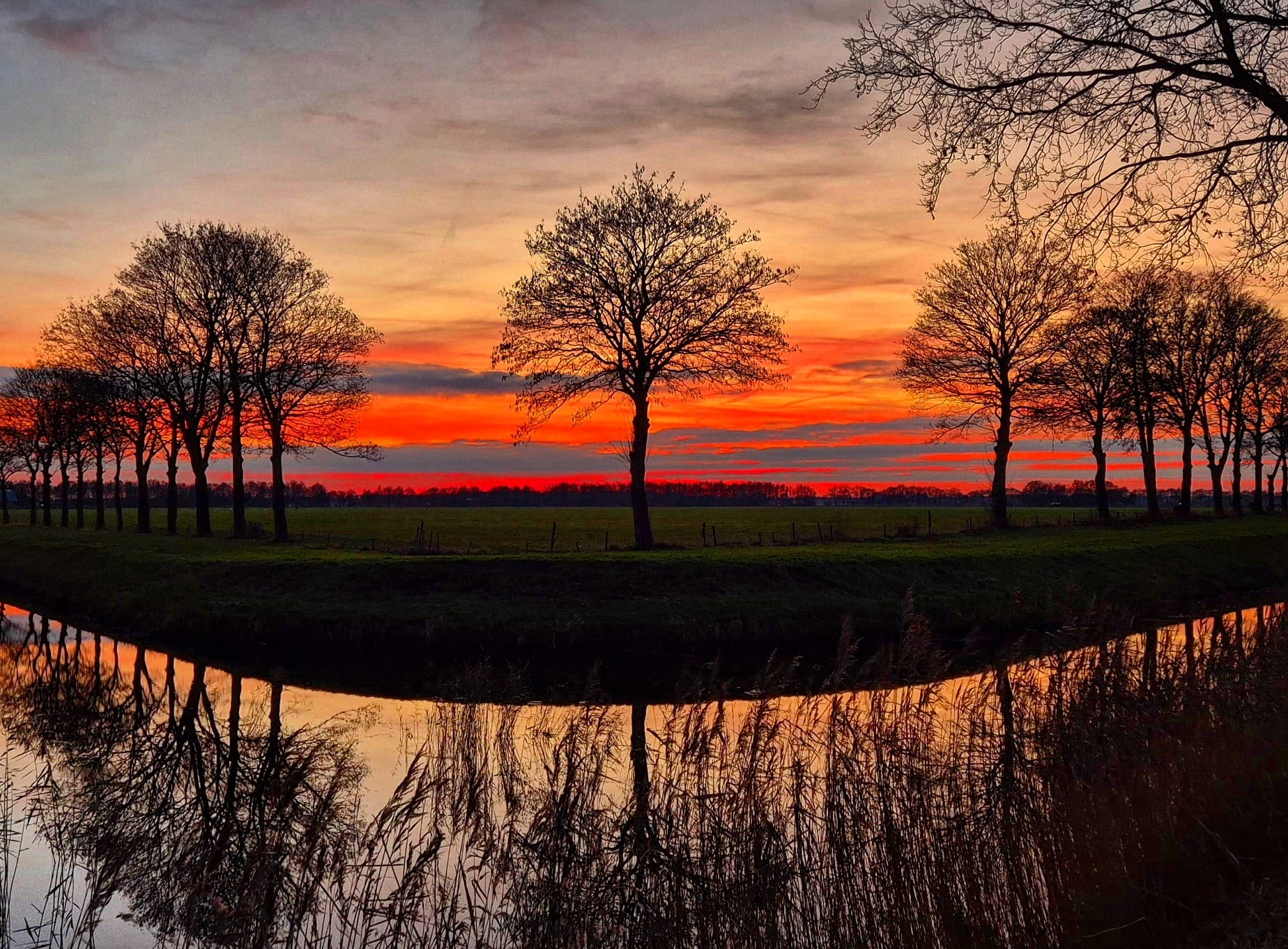 DE BOMEN SPIEGELEN - Brekt