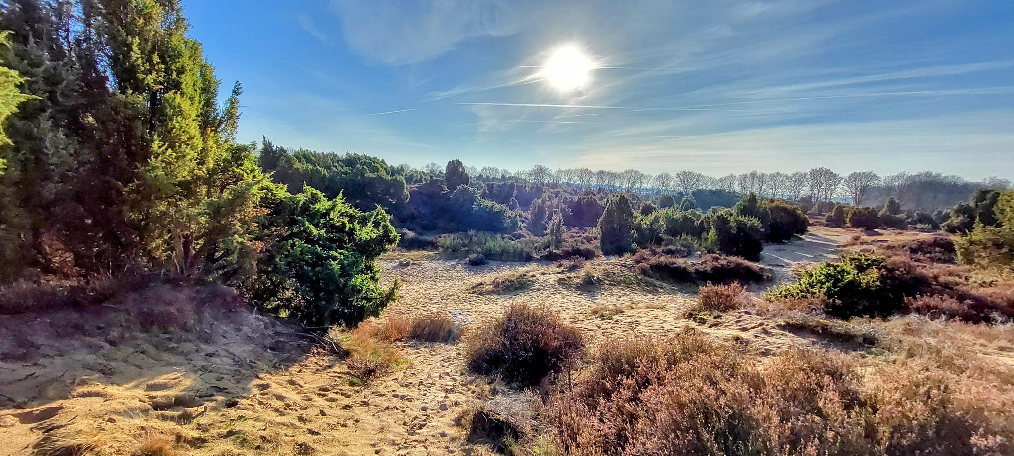 GEERTJE DUINKERKEN: NATUURSCHOON MANTINGERZAND - Brekt