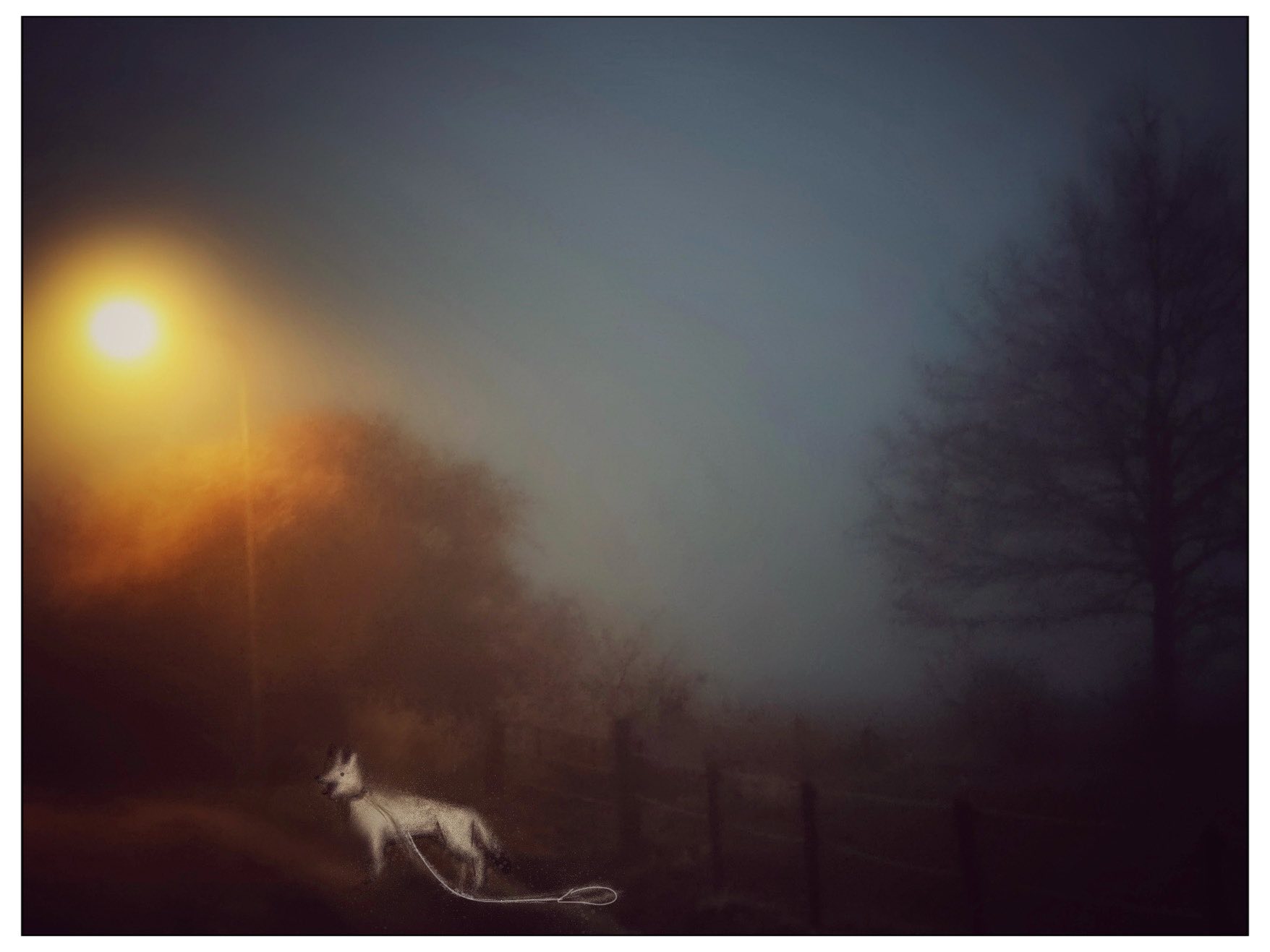 ELS BROUWER: WITTE HOND IN DE NACHT - Brekt