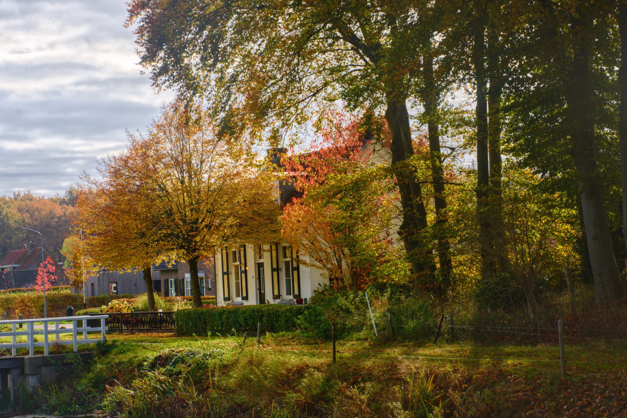 KLEURENPRACHT IN DE HERFST - Brekt